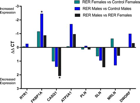 Quantitative Real‐time Polymerase Chain Reaction For Genes Involved In Download Scientific