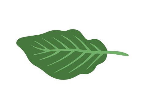 Tropical Green Leaf Background Illustration 43194780 Vector Art At Vecteezy