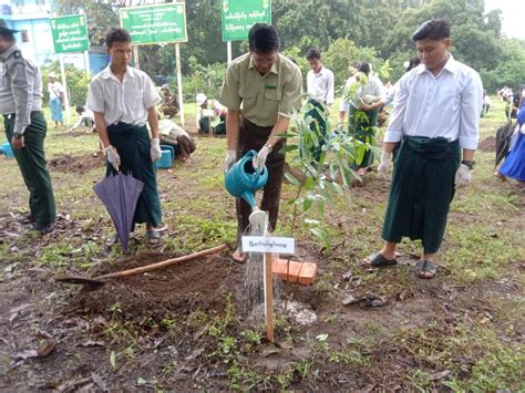 ကမမောင်းမြို့၌ သဘာဝပတ်ဝန်းကျင်ထိန်းသိမ်း‌ရေးနေ့ အထိမ်းအမှတ် မိုးရာသီအကြို စု‌ပေါင်းသစ်ပင်စိုက်ပ