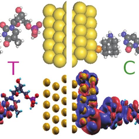 A Comparison Of Four Natural Nucleotides At A Gating Voltage Of V G