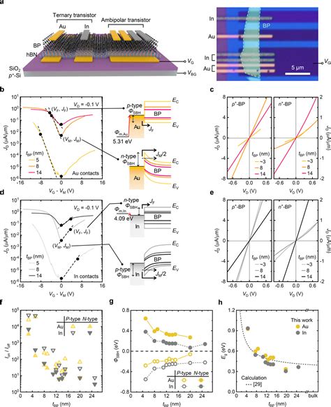 Ternary Transistors With Reconfigurable Polarities Yeom Advanced Functional Materials