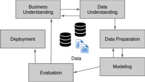 The Data Science Project Lifecycle WData