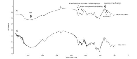 Ftir Spectrum Of Pectins Where A Pectin From Celery B Pectin From