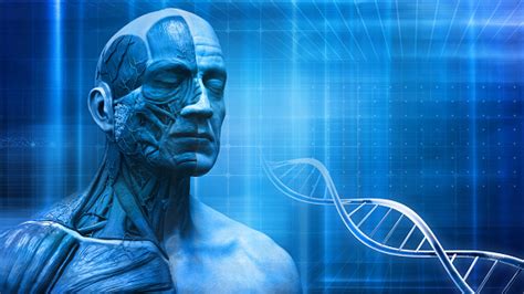 인체 해부학 Dna 기호 근육 구조와 블루 의료 배경 3d 렌더링 0명에 대한 스톡 사진 및 기타 이미지 0명 3차원 형태 건강관리와 의술 Istock