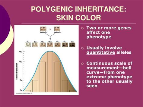 👍 Polygenic Inheritance Skin Color Polygenic Inheritance And
