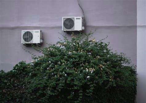 6 Signs Your AC Unit Is About To Fail Maggiescarf