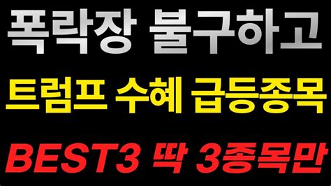 내일 이 3종목 매수기회 노려보세요 트럼프관련주 급등주 주식추천 단타추천주 11월13일 급등예상종목 Youtube