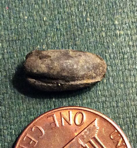 Cretaceous Bivalve From The Basal Navesink Member Collections The Fossil Forum