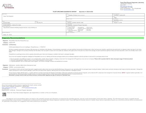 Tpddl Submission Easy Steps For A Successful Tpddl Submission
