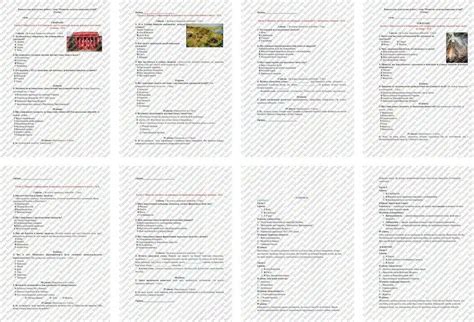 Комплексна підсумкова робота Розділ №4 Розвиток людства впродовж історії 6 клас НУШ Чотири