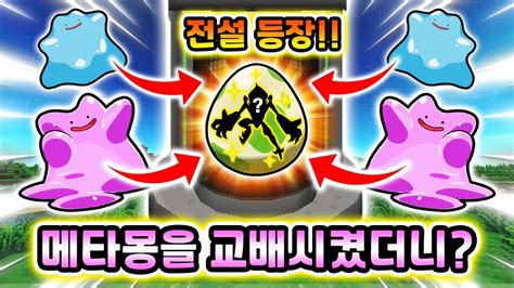 메타몽을 교배시켰더니 엄청난 전설의포켓몬 등장 [포켓몬 미션생존기 시즌4] [사이] Youtube