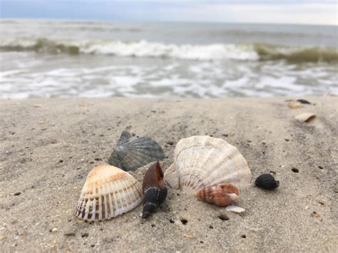 Гостевой Дом Зелёная Горка Лоо Zelenayagorka Наш сайт Не
