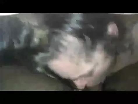 Free Best Cock Sucking Porn Videos Xhamster