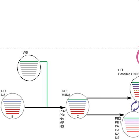 Proposed Evolutionary Pathway Leading To The Generation Of The Highly Download Scientific