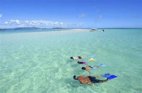 【오키나와 · 이시가키 섬] 환상의 섬 하마시마상륙 And 스노클링 반나절 투어 여자 여행 · 커플 · 패밀리에 인기 Kkday