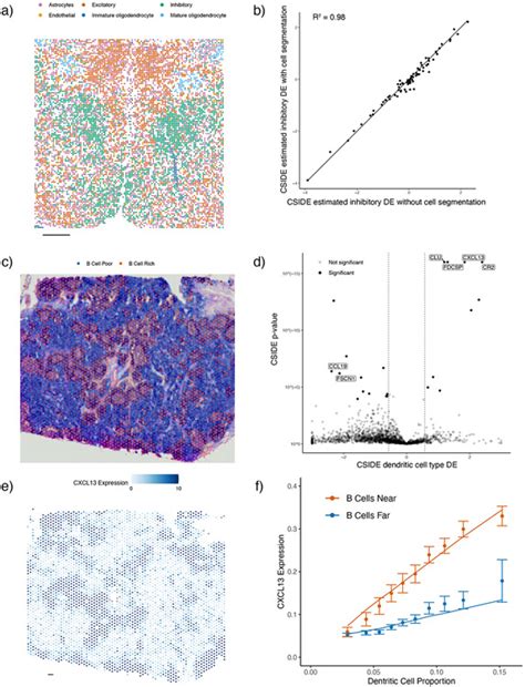 Cell Type Specific Inference Of Differential Expression In Spatial