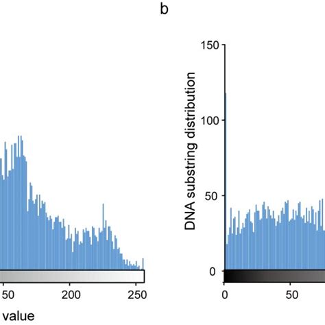 Distribution Of Pixel Intensity Histogram A Plain Image B