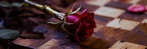 I Love The Analogy Of The Brain As A Field Of Wheat And How Habits Form Pathways That Become