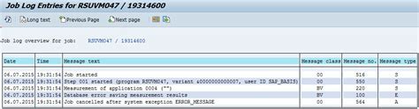 Error During The Sap Audit System Measurement U Sap Community