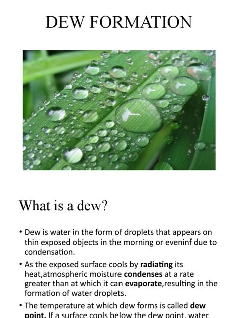 Dew Formation Wps Office Pdf