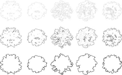 How To Draw A Tree In Plan View