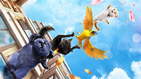 კატების გაქცევა ახალი ფილმები და სერიალები ქართულად Axali Filmebi Da