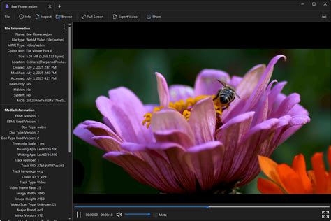 Open Webm Files With File Viewer Plus