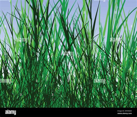 Agricultural Loss Stock Vector Images Alamy