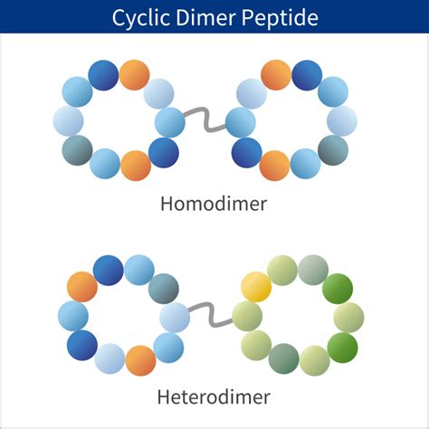 Peptide Api Development And Manufacturing Peptistar Inc