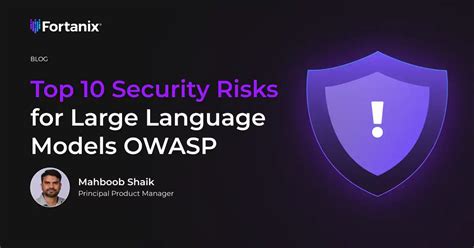 Top 10 Security Risks For Large Language Models Owasp Fortanix
