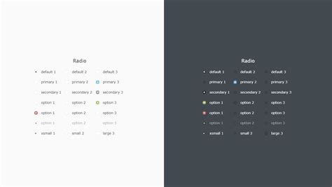 15 Javascript Radio Button Design Examples Onaircode