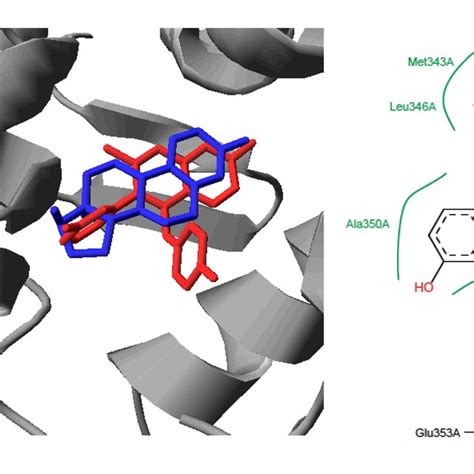 Chemical Structures Of The Pyrethroid Insecticides Tested Download Scientific Diagram