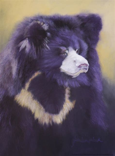 Sloth Bear Artists For Conservation