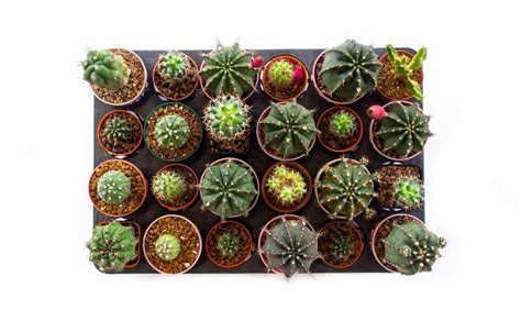 Image Of The Week Arrays In The Real World Multiplicity Lab