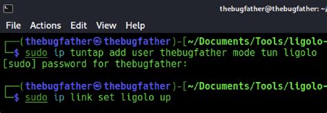 Pivoting VPN Process Tunneling: Ligolo-ng