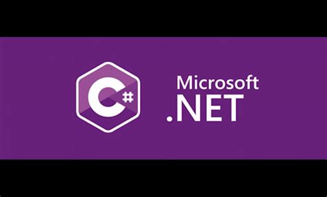 Build And Debug Csharp Net Applications By Misiuz Fiverr