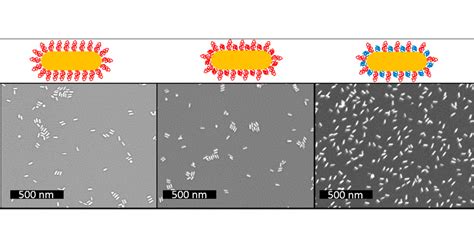 Engineering The Assembly Of Gold Nanorods In Polymer Matrices Macromolecules