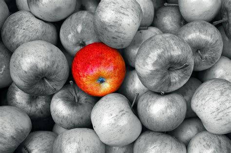 Red Apple Free Stock Photo Public Domain Pictures