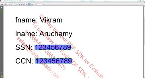 How To Redact Data From PDFs In Java Foxit PDF SDK