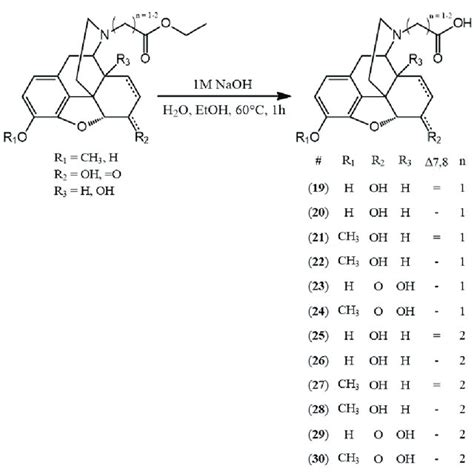 Scheme Attempted Amino Acid Coupling Glycine Ethyl Ester N N Download Scientific Diagram