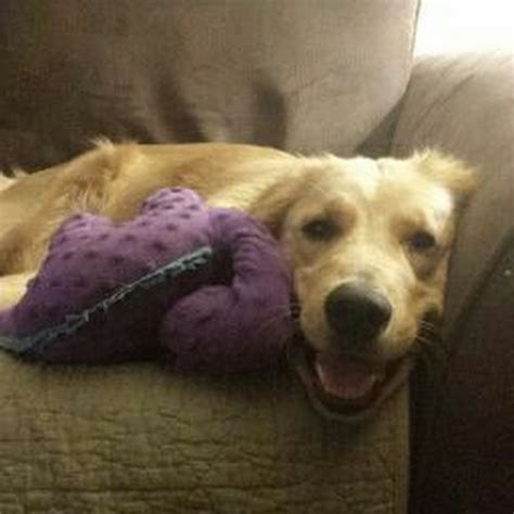 Hannah Archambault Youtube