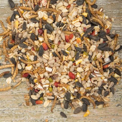Treecreeper Nest Box Slim Bird Box Design