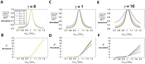 Scaling At Crossover Regime Parameters Same As Figure 1 With M~2 A