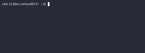 persistent sessions with tmux esrum cluster documentation