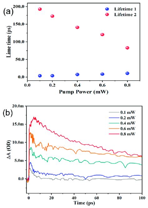 A Power Dependent Carrier Dynamics At The Probe Wavelength Of 620 Nm