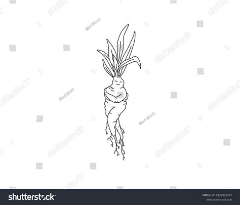 430 Human Like Root Images Stock Photos Vectors Shutterstock