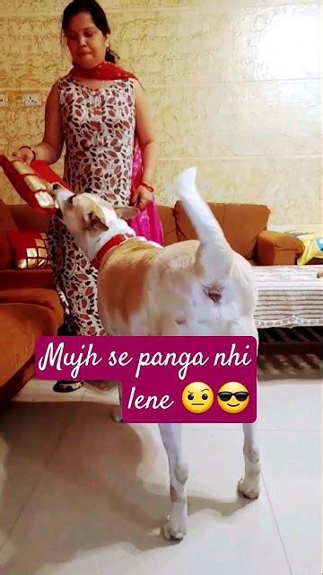 Mummy Kuch Nhi Samajhti🙂🙃 Shorts Viral Trending Youtube