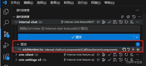 Vscode中git的使用，以及与webstorm中git的使用对比webstorm和vscode Csdn博客