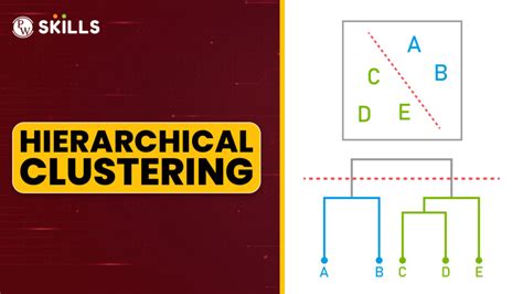 Hierarchical Clustering In Machine Learning 2 Types Examples And Python Useful Guide