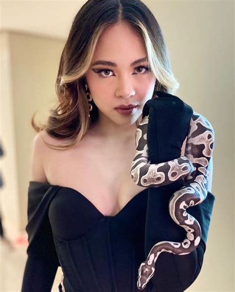 Crediball Pythons Reptile Crediball Pythons Reptile Farm